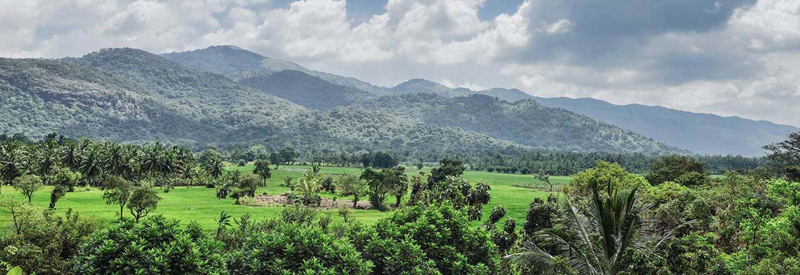 Photo Gallery of Kalundewa Retreat Dambulla Sri Lanka